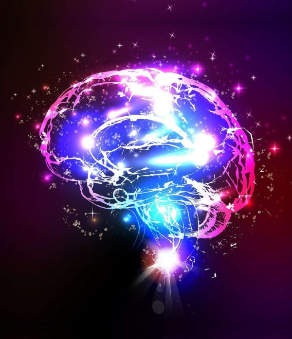 A look back (and a look ahead) on citizen science - Video Games McGill