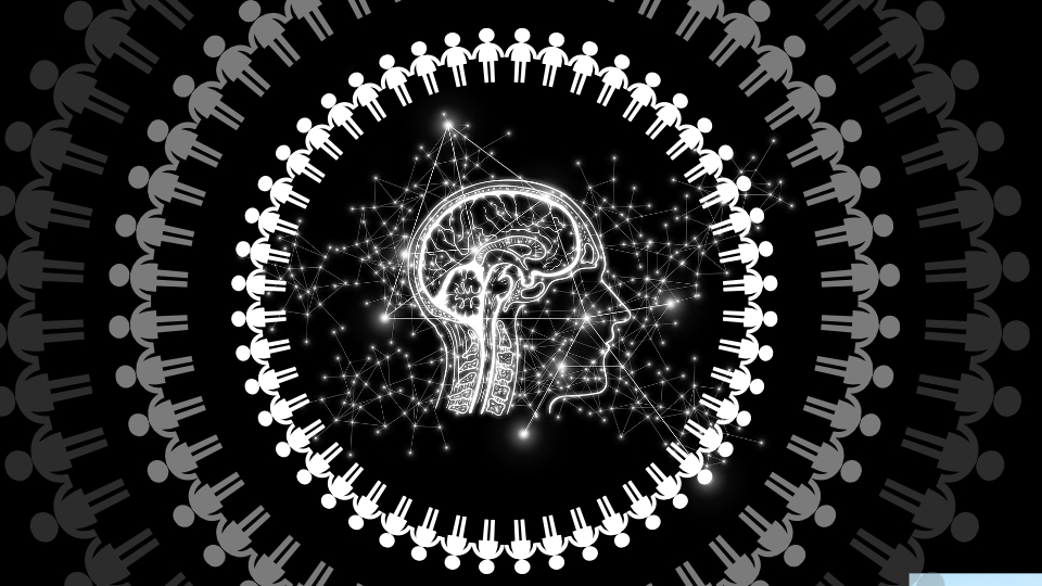 A look back (and a look ahead) on citizen science - Video Games McGill
